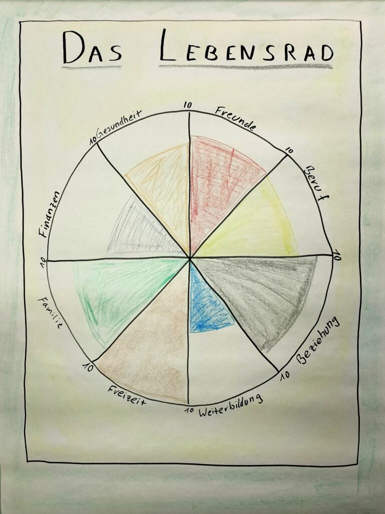 Das Lebensrad zur Selbstreflexion — eid Hub Netzwerk für Training und ...